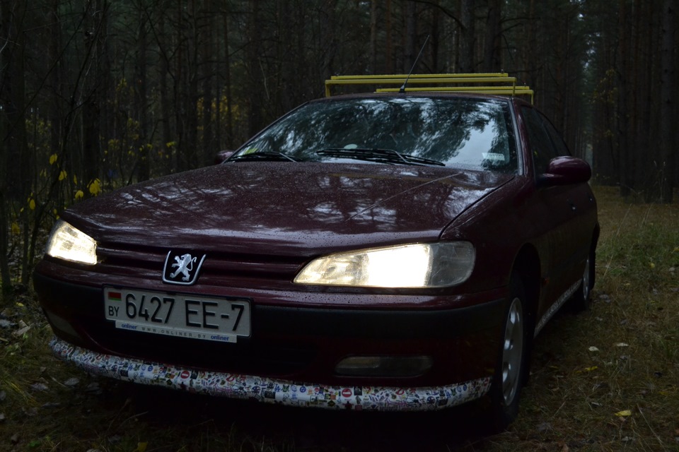 Фото в классном лесу, дышите глубже! - Peugeot 406 awesome - Пежо-Клуб ...